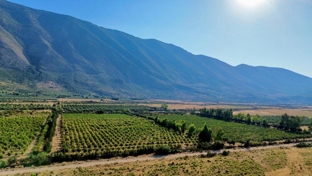 Kantina & Ferma Dukat, Vlorë (updated prices 2025)