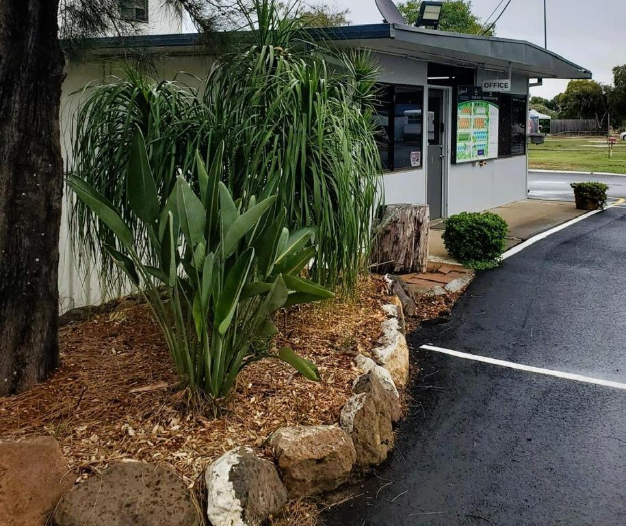 Pioneer Caravan Park, Dalby (updated prices 2026)