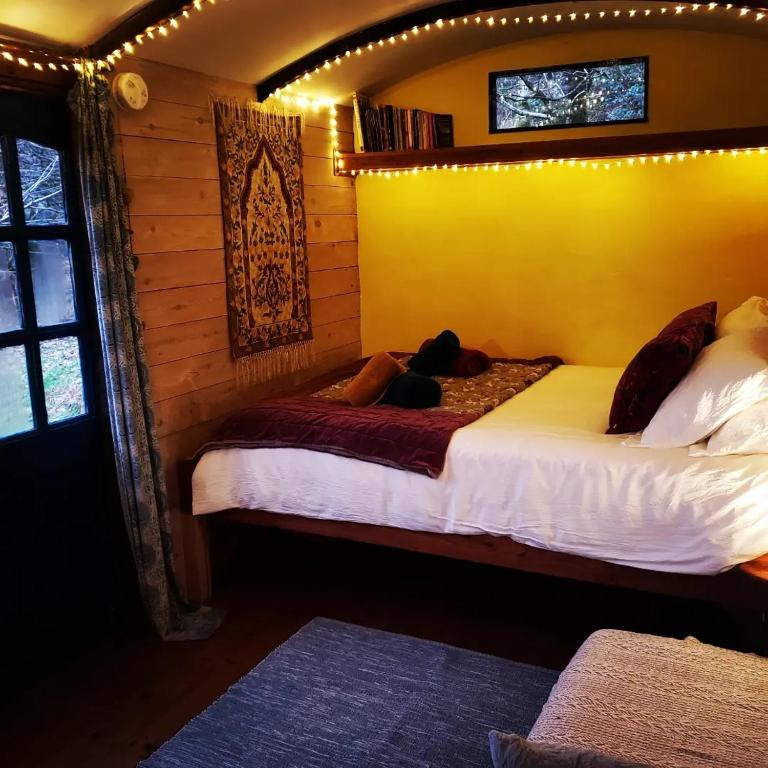 Hilltop Train Carriage with a View, Machynlleth (updated prices 2025)