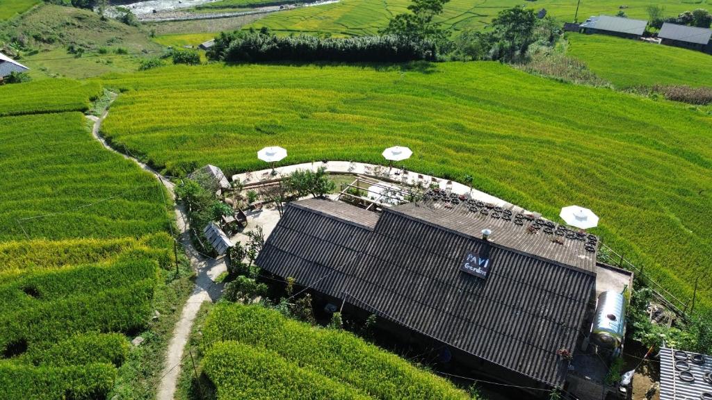 Pavi garden, Sa Pa (updated prices 2025)