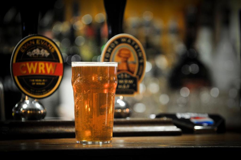 Y Talbot, Tregaron (updated prices 2025)