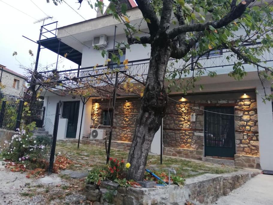 Παραδοσιακο σπιτι με εσωτερικο τζακι, Chrysomiléa (tarifs actualisés, 2025)
