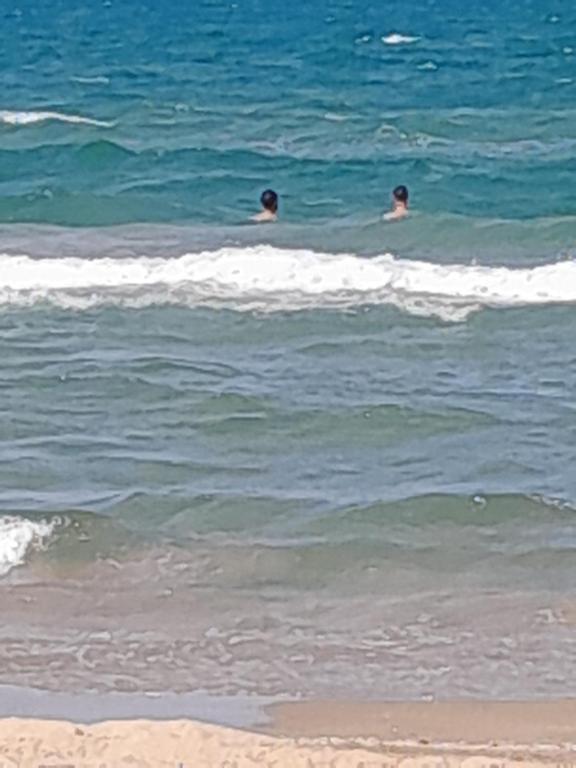 Tunisien gammarth, Gammarth (updated prices 2026)