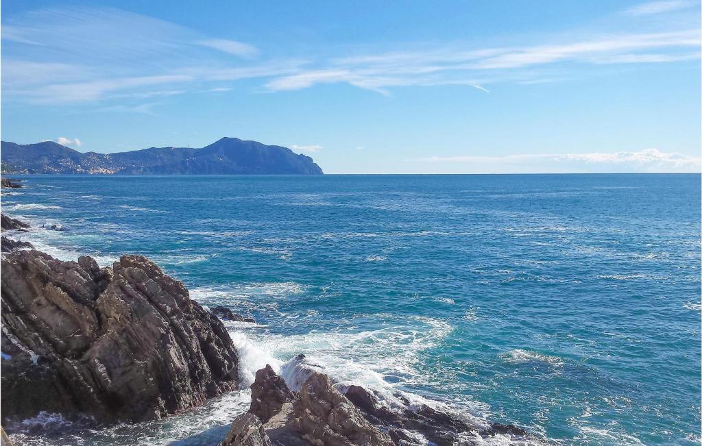 Elena Rosetta Rizzo, Chiavari (updated prices 2025)