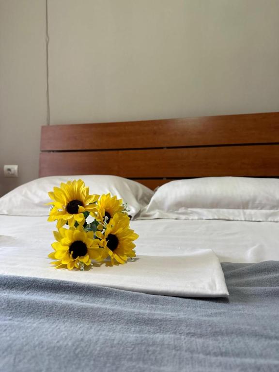 Turdiu center apart, Tirana (updated prices 2025)