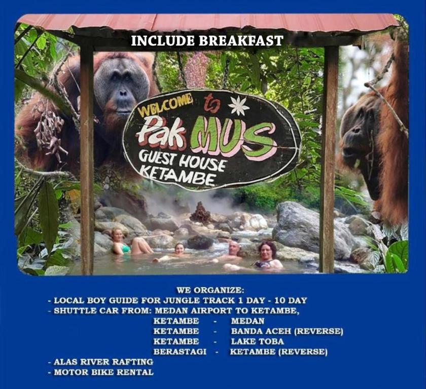 Pak Mus Guest House Ketambe - 0813-7072-1793, Kutacane (updated prices ...
