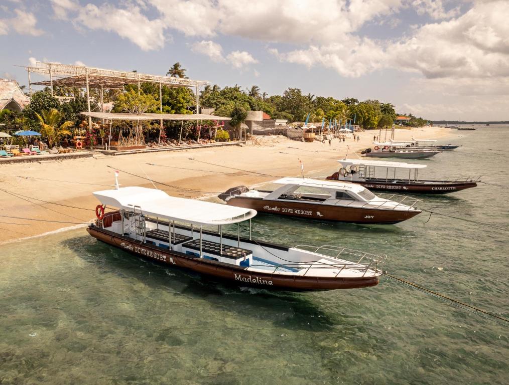 Mambo Beach Resort, Nusa Penida (updated prices 2025)