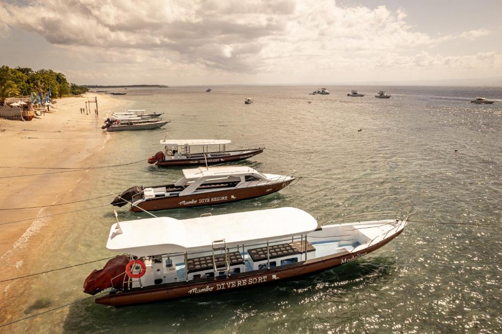 Mambo Beach Resort, Nusa Penida (updated prices 2025)