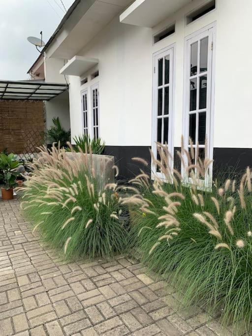 Ceana House at Selabintana, Selabintana (updated prices 2026)