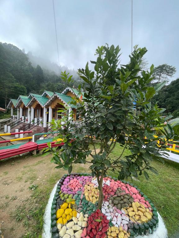 Montavilla Eden Homestay Sittong, Kurseong (updated prices 2026)