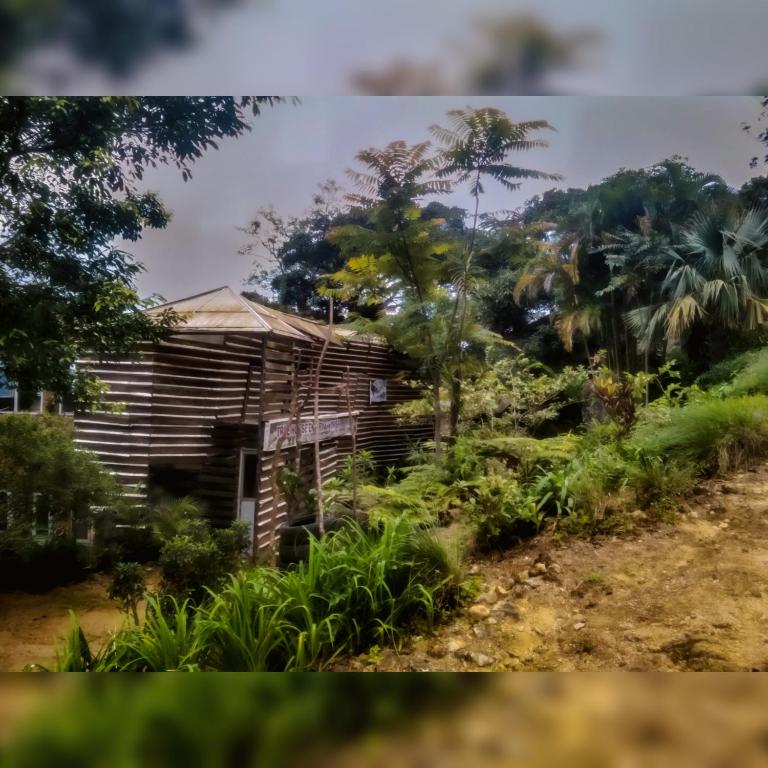 Jungle Tree House Rangala, Kandy (precios actualizados 2025)