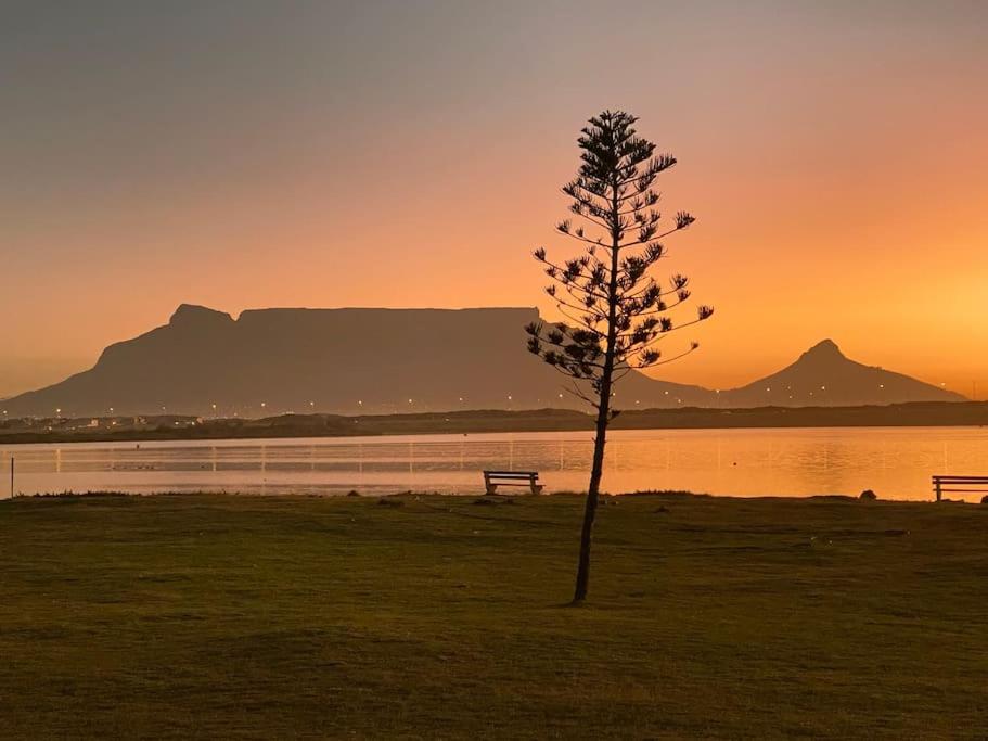 Flamingo Vlei Guesthouse, Cape Town (updated prices 2025)