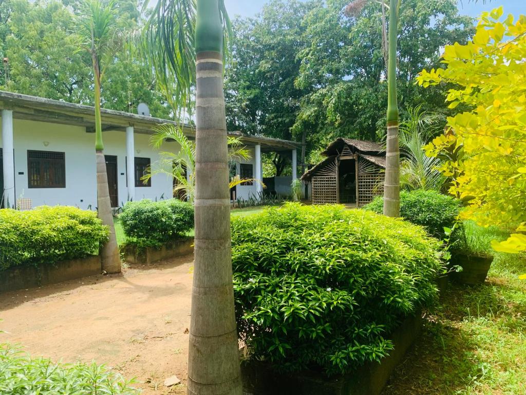 The Heaven Sorabora, Mahiyangana (updated prices 2025)