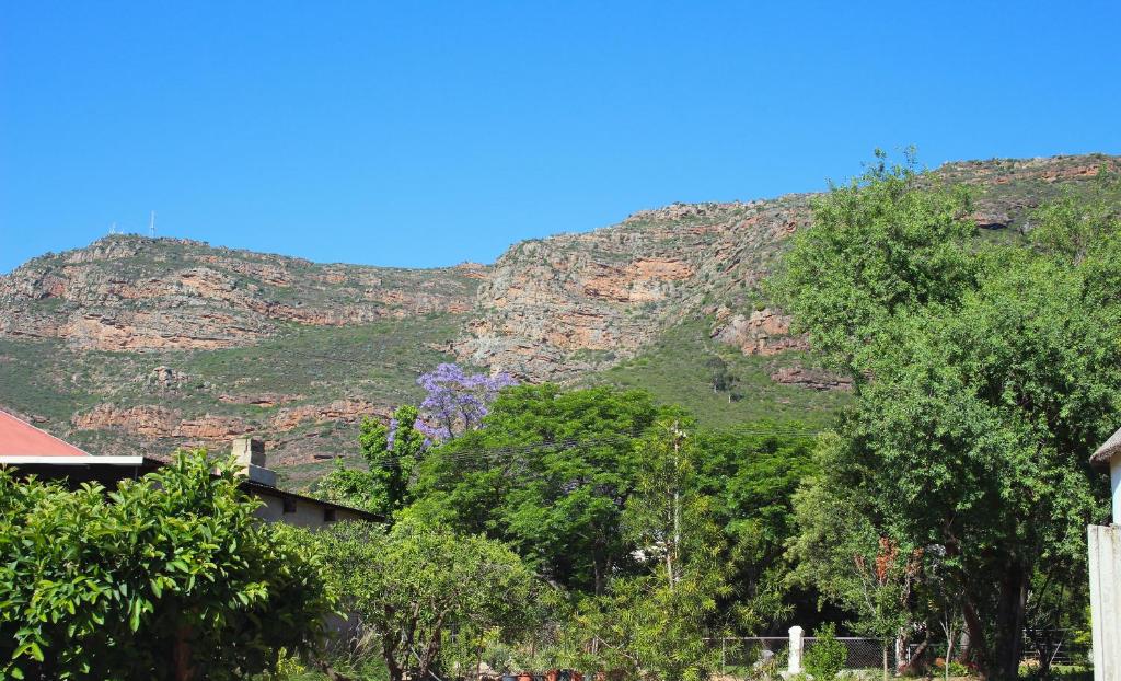 Dorpsplasie - Piketberg, Piketberg (updated prices 2026)