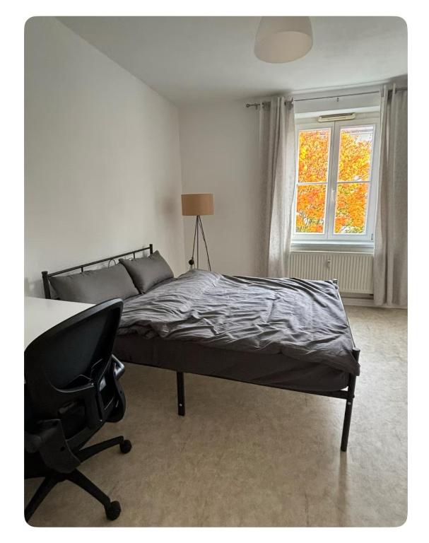 1-Raum Wohnung in Südvorstadt Dresden, Dresden (updated prices 2025)