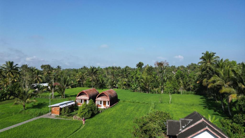 Bale Tetebatu, Tetebatu (updated prices 2025)