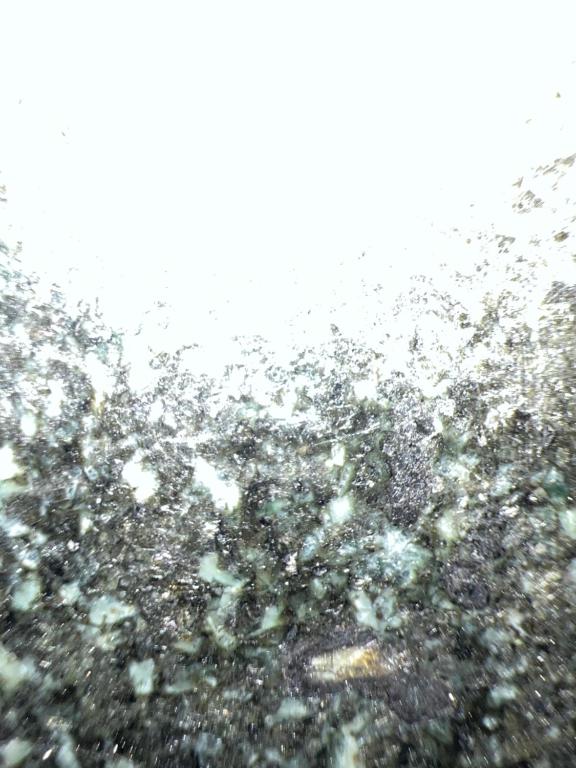 hhgh ksll, Kairo (opdaterede priser for 2024)