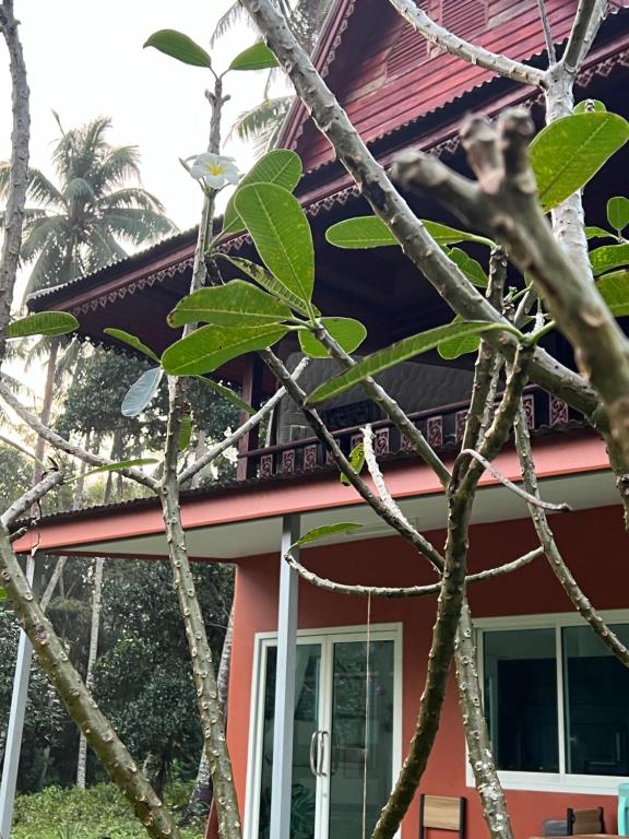 Moon Temple, Koh Phangan (updated prices 2026)