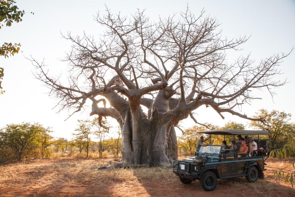 Tshipise A Forever Resort, Tshipise (updated prices 2025)