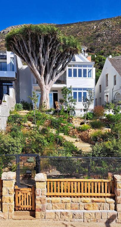 The Dragon Tree Guesthouse, Kalk Bay (updated prices 2026)