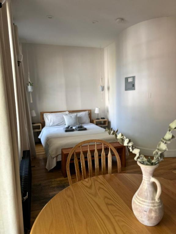 Brooklyn modern studio apartment!, Brooklyn (updated prices 2025)