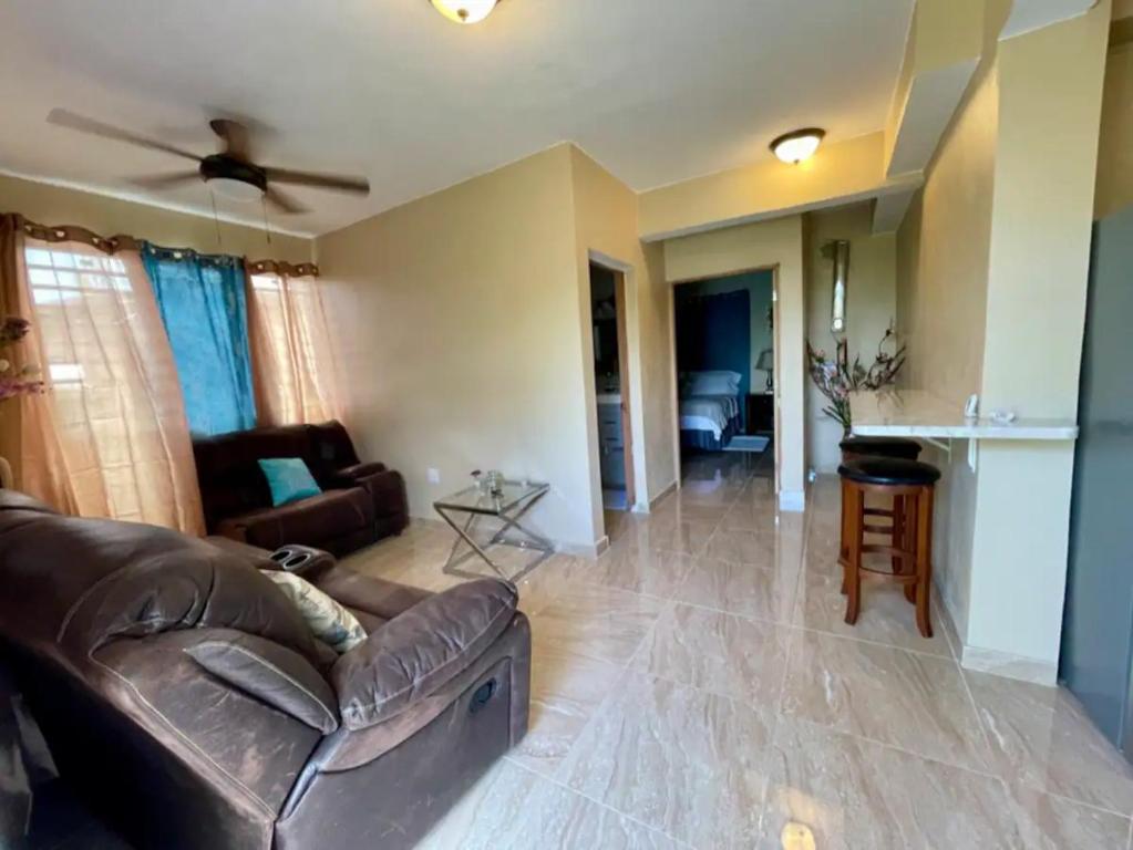 Hibiscus a New Spacious Apartment with a Sea View and Perfect Location ...