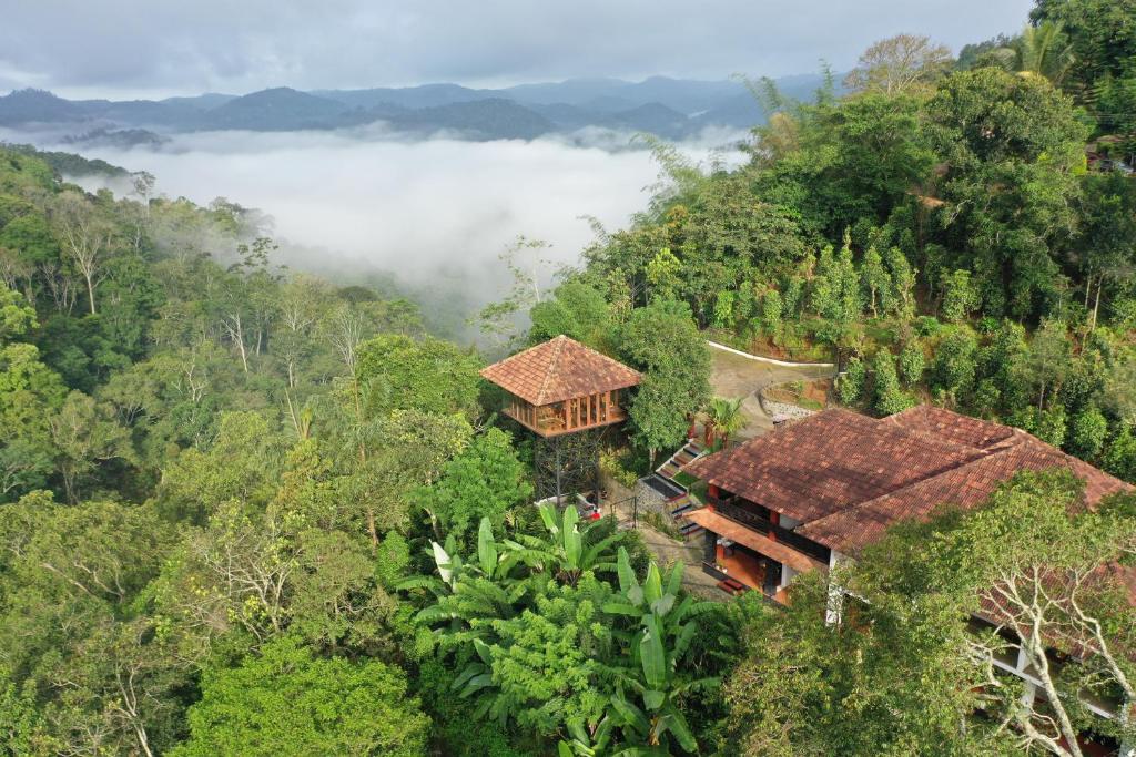 Spice Forest Plantation Homestay, Thekkady, Vandiperiyār (updated ...