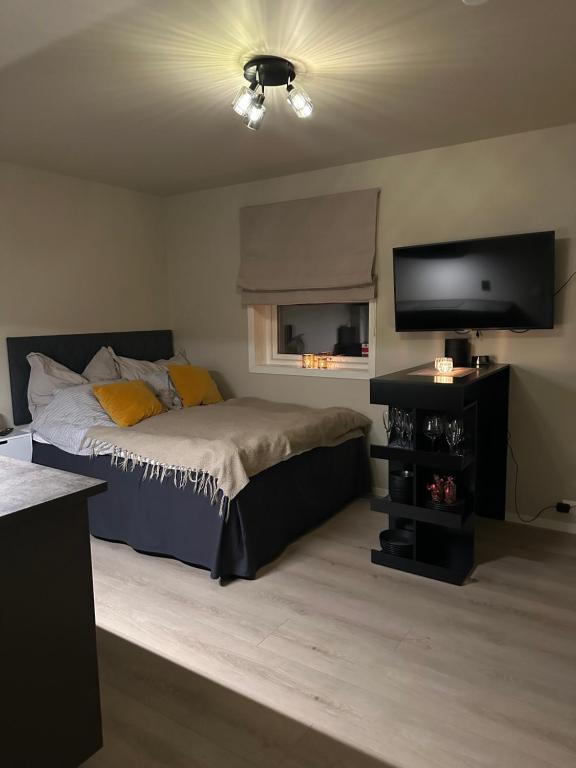 Northern Lights Studio, Tromsø (tarifs actualisés 2024)