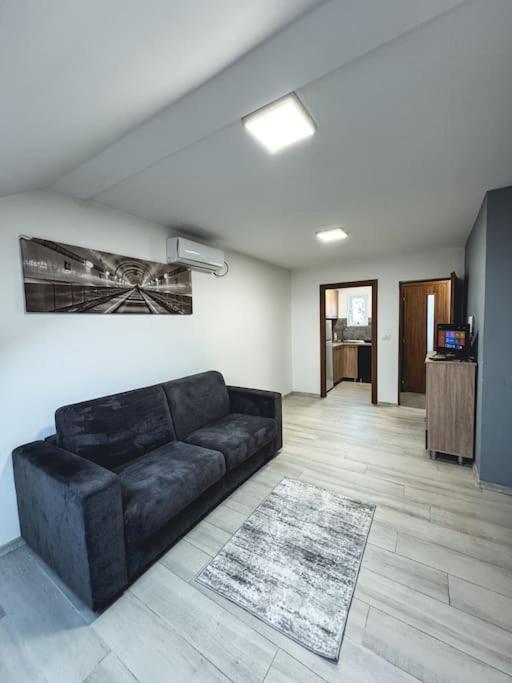 Skyline Studio 1, Timişoara (updated prices 2026)