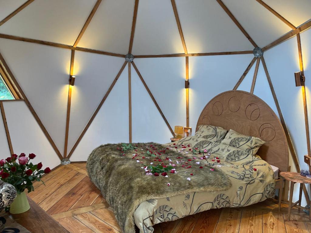 The Island of Xanadu, Beaworthy (updated prices 2026)