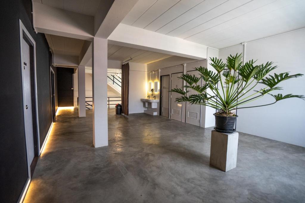 The Afterlife Poshtel & Art Space, Chiang Mai (updated prices 2025)
