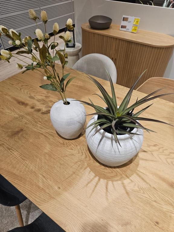 Downtown Gem Rooms, Budapest (updated prices 2026)