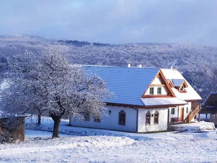 Vidiecky dom Na Jablonci, Hrušov (updated prices 2025)