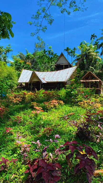 Floating Dreams, Tangkahan (updated prices 2026)