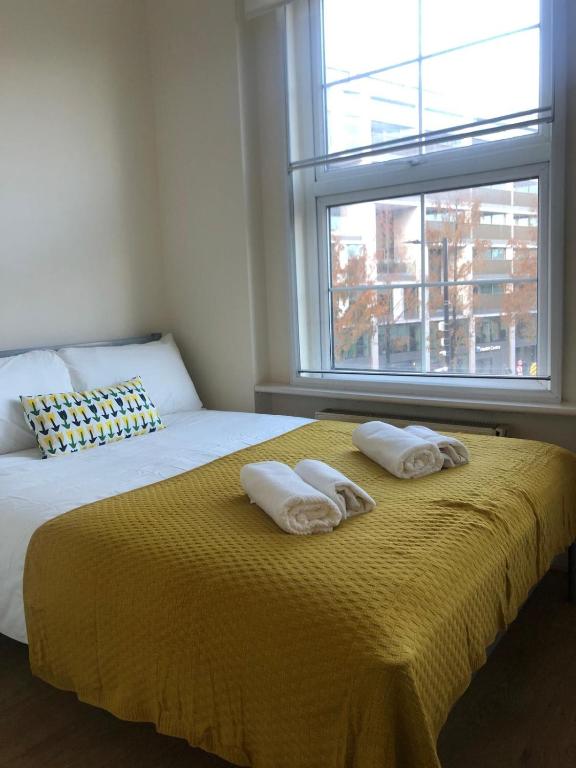 Bright and Cozy Entire Flat Near Euston Station and UCL Hospital ...