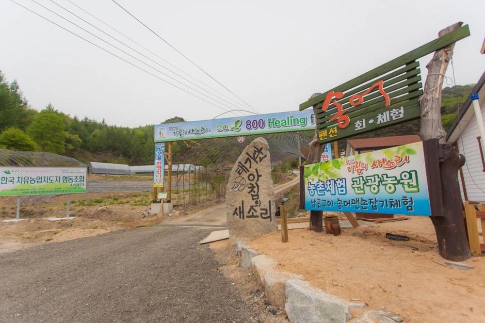 Gangwon Taegisan morning birdsong, Hoengseong (updated prices 2026)