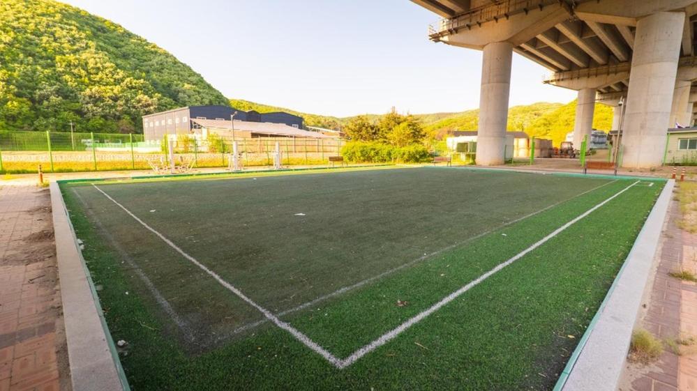 Rodem Free, Hong-gol (updated prices 2025)