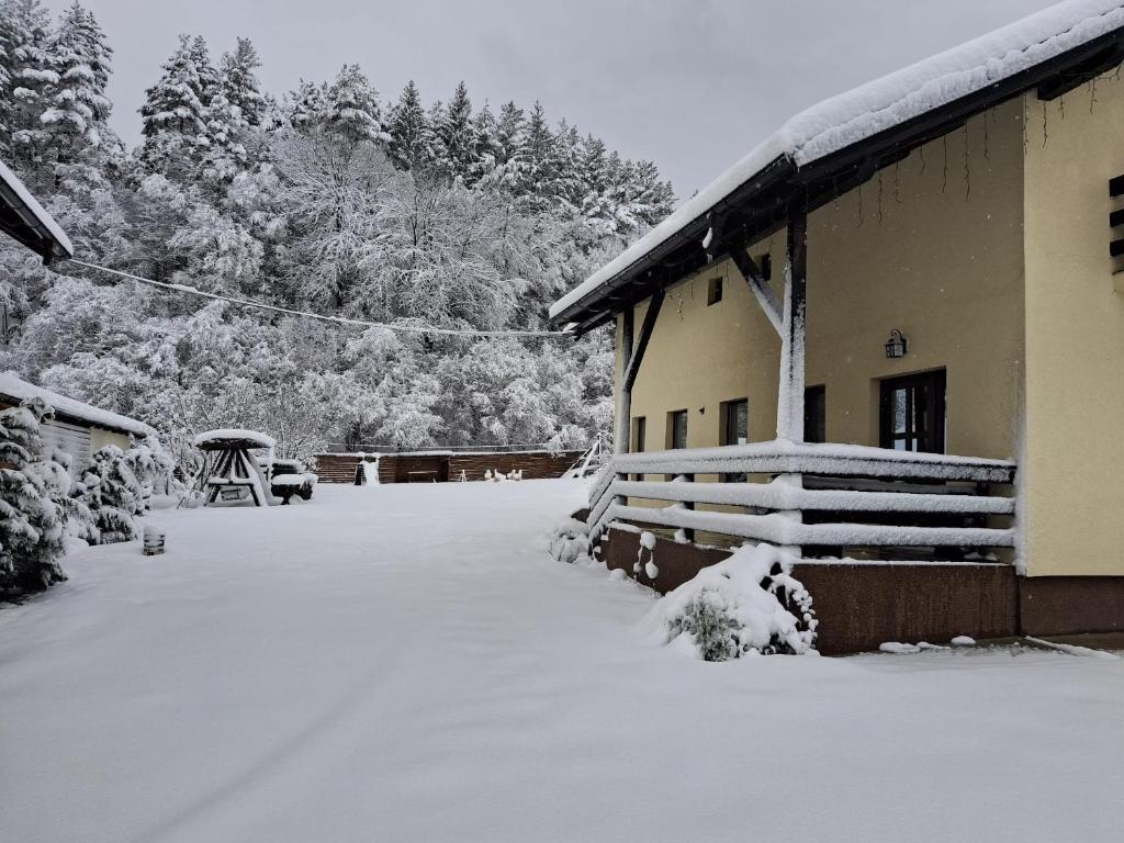 Casa de vacanta,, Seliana de Bucovina,,, Capu Cîmpului (updated prices ...