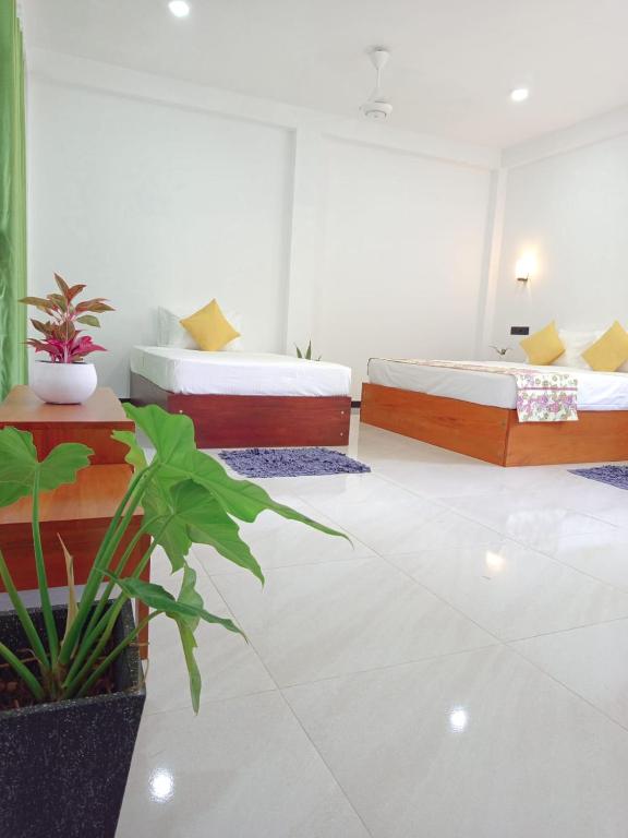 Randon Resort Mirissa, Mirissa (updated prices 2025)