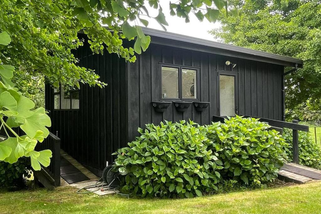 Romantic Country Cottage - 1 Bedroom open plan, Pukekohe East (updated ...