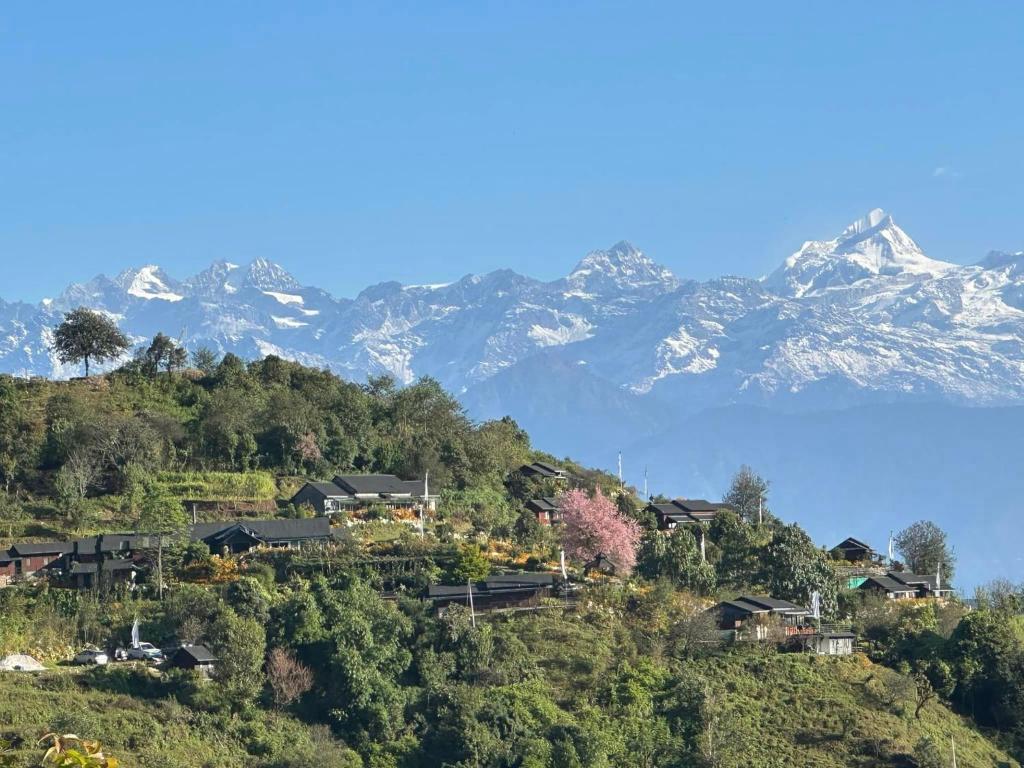 Prakriti Resort and Organic Farm Pvt. Ltd., Burhānilkantha (updated prices 2025)