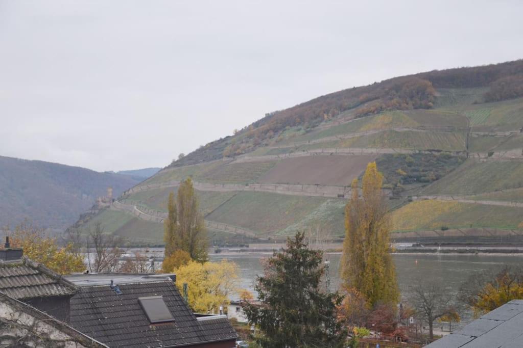 RheinBlick, Bingen am Rhein (updated prices 2025)