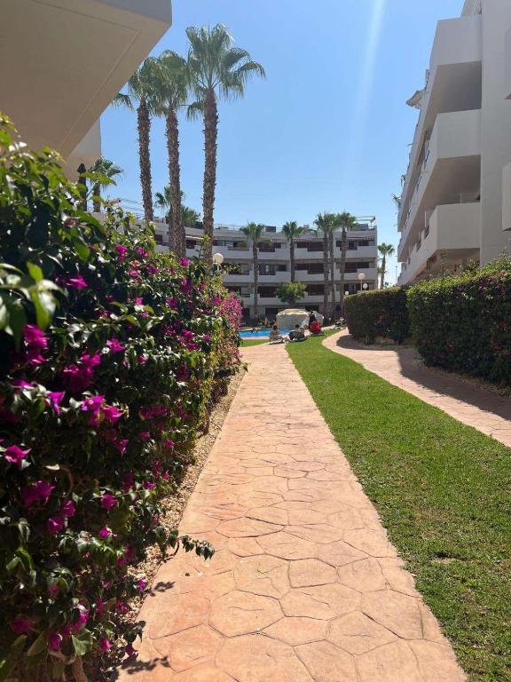 Casa Malibu El Rincon Pool view Playa Flamenca, Playa Flamenca (updated ...