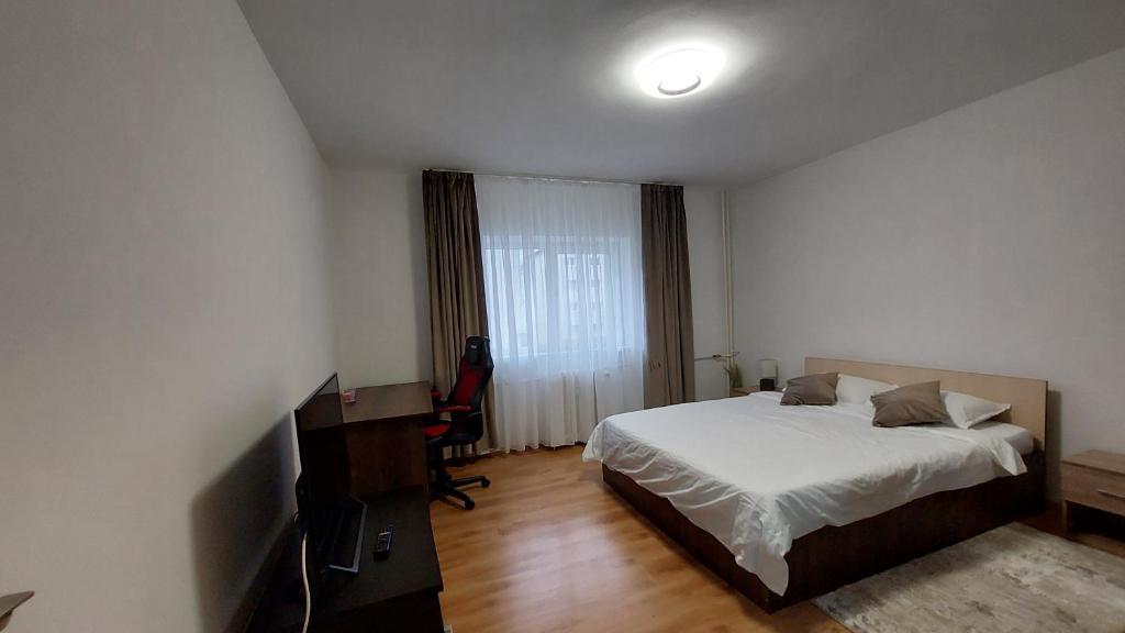 Zamca Studio, Suceava (updated prices 2025)