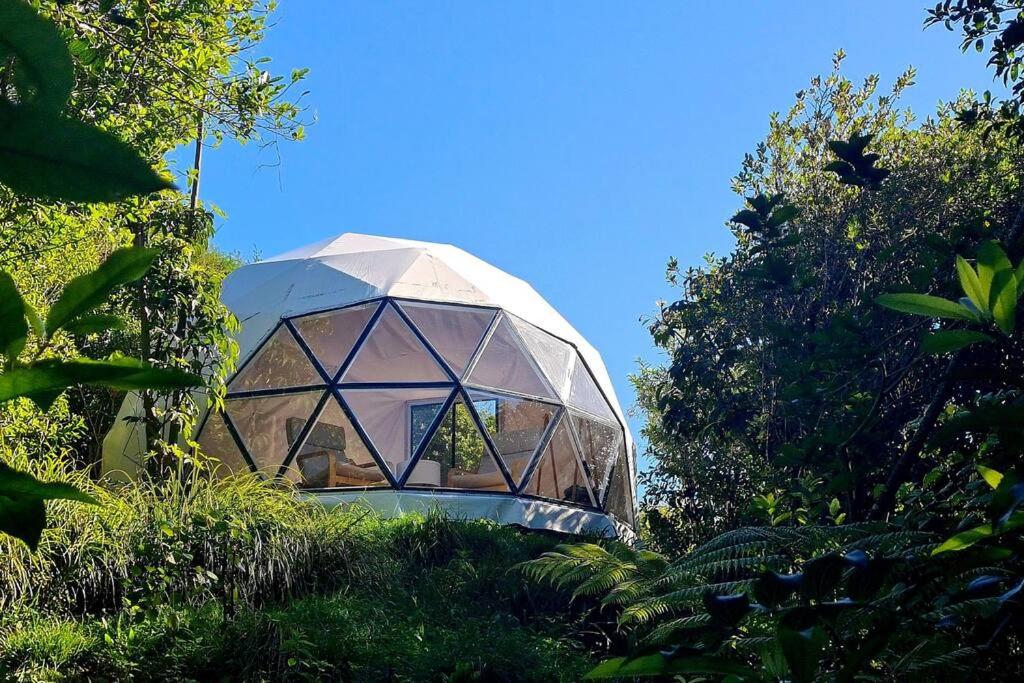 The Geodesic Dome in Pohara Golden Bay, Pohara (updated prices 2025)