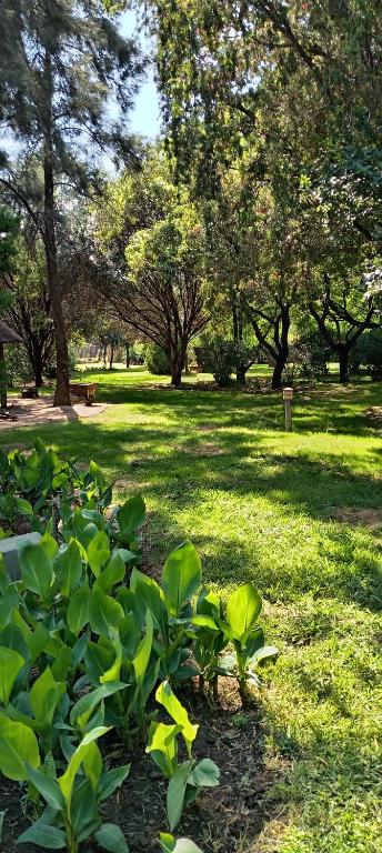 La Mathil, Swartspruit (updated prices 2026)