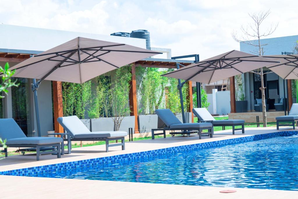 Solai Oasis, Longido (updated prices 2026)