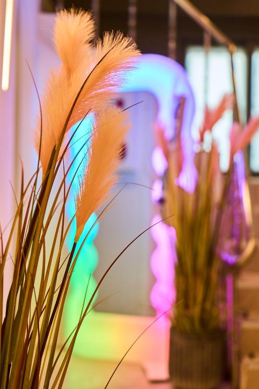 Stay Seorae, Seoul (updated prices 2026)