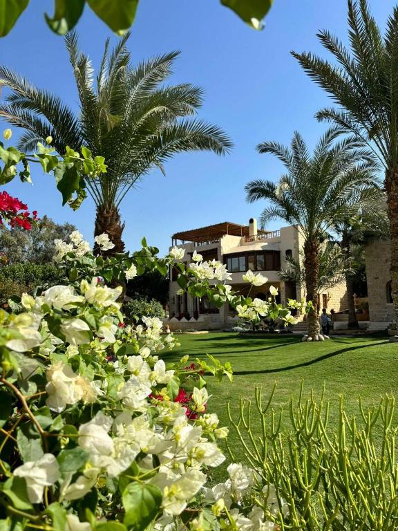 palm shadow resort, Tunis (updated prices 2026)