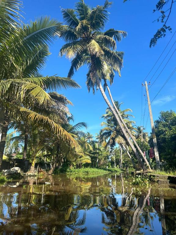 Camp and kaya king, Alleppey (updated prices 2026)